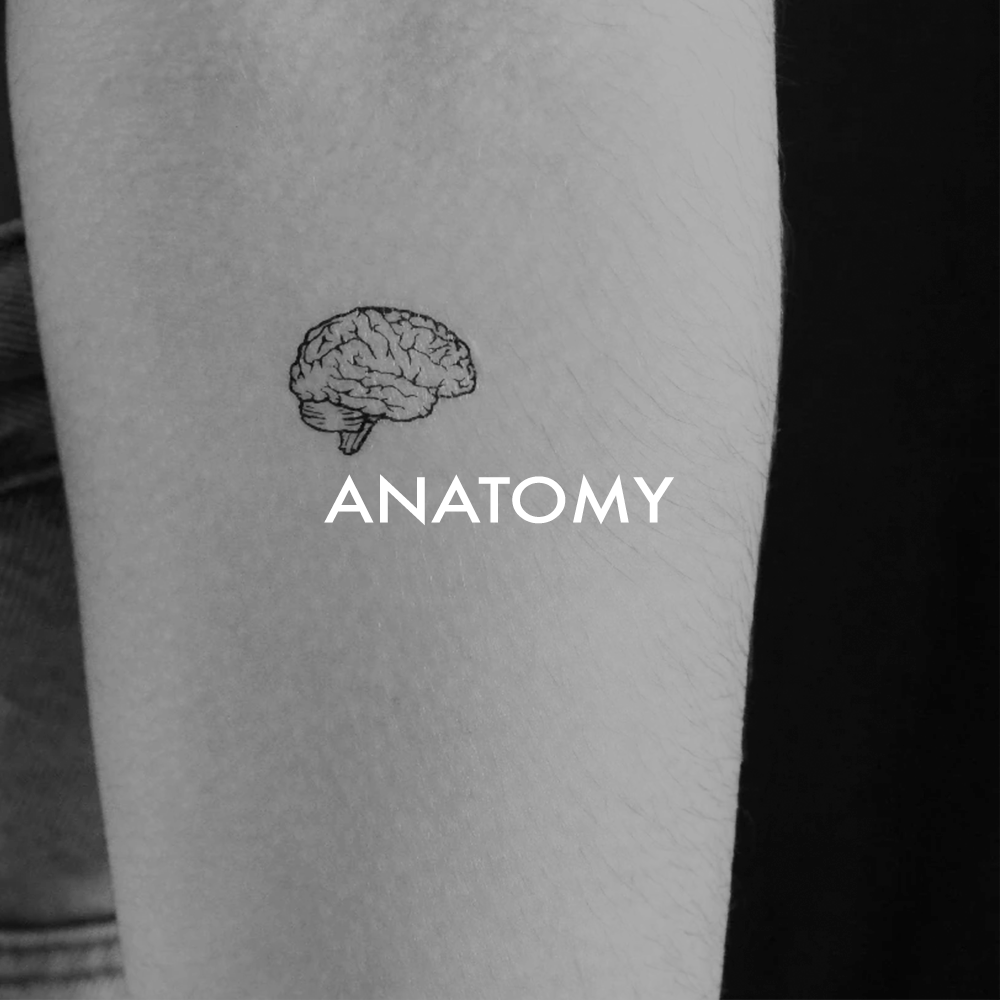 Little Brain Tattoos Little Tattoos — Engraving Style Brain Tattoo