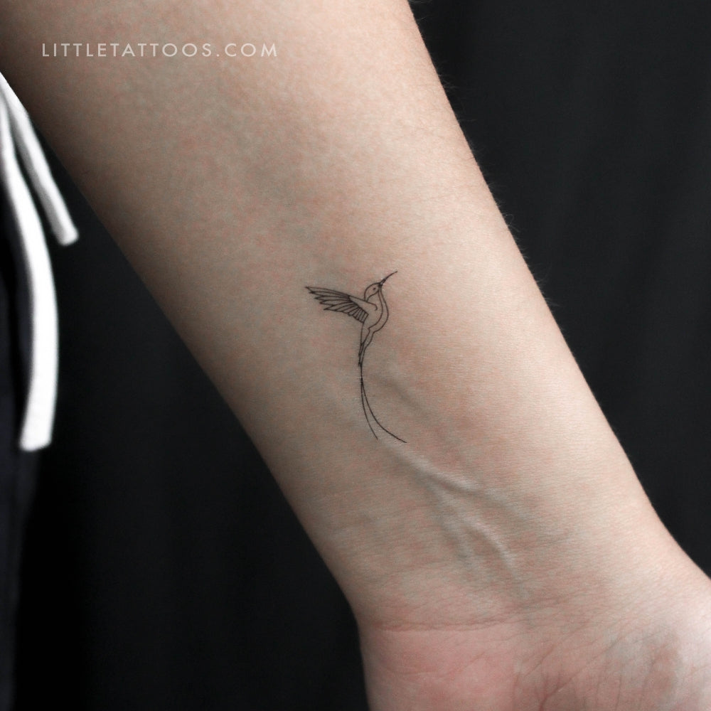 Long-tailed Sylph Hummingbird Temporary Tattoo - Set of 3 – Little Tattoos