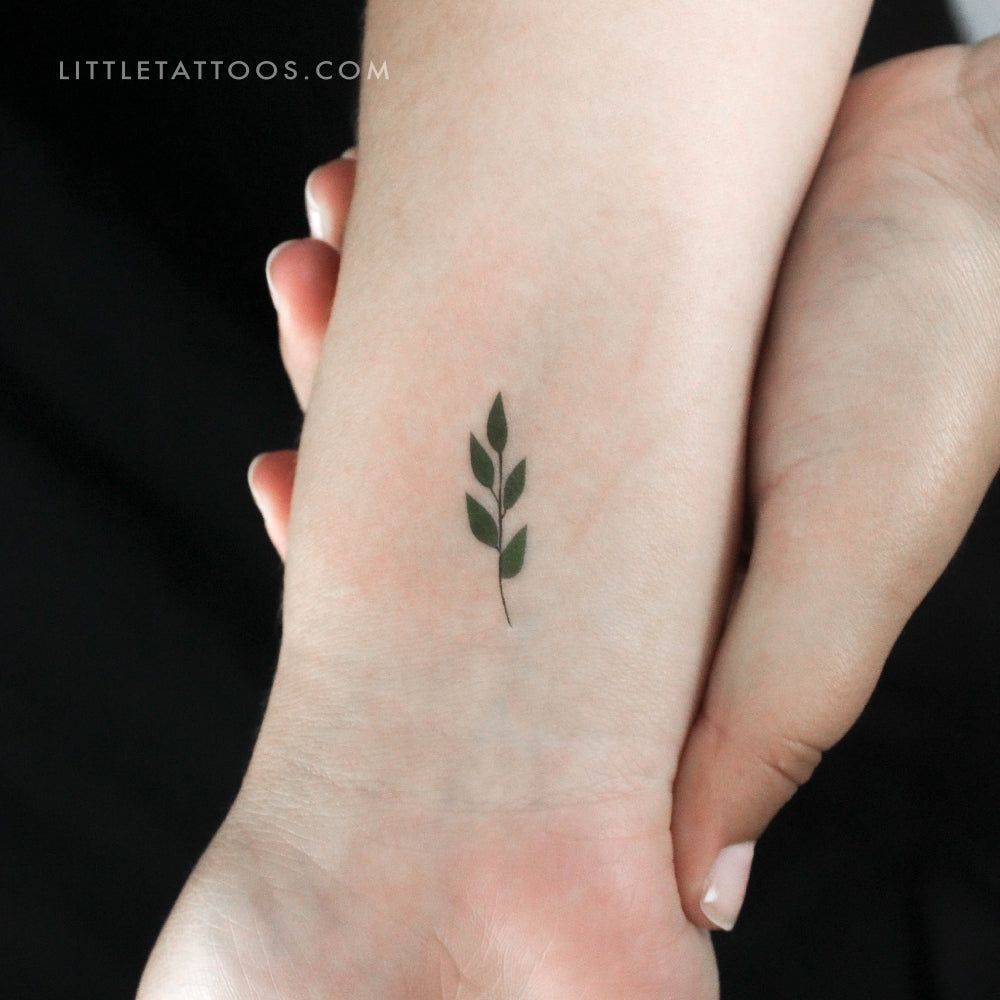 Twig Temporary Tattoo by Zihee - Set of 3 – Little Tattoos